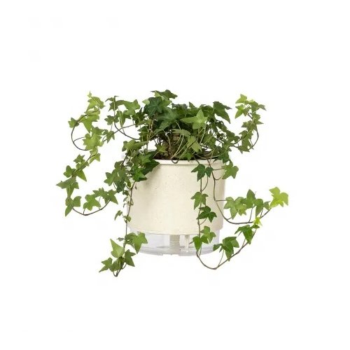 Vaso Autoirrigável Grande Calcário - Raiz